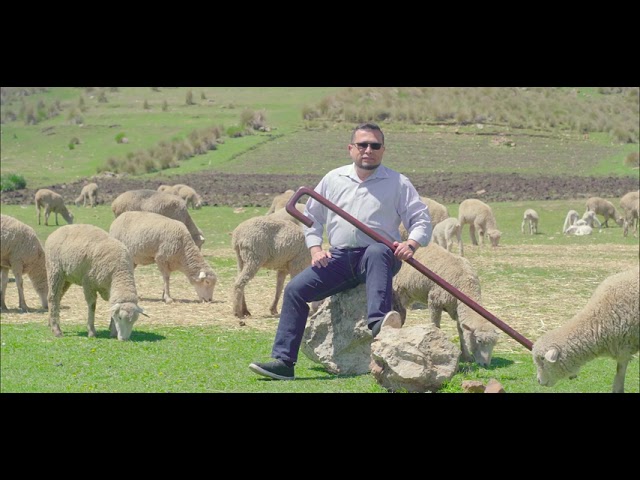 Qué significa cayado