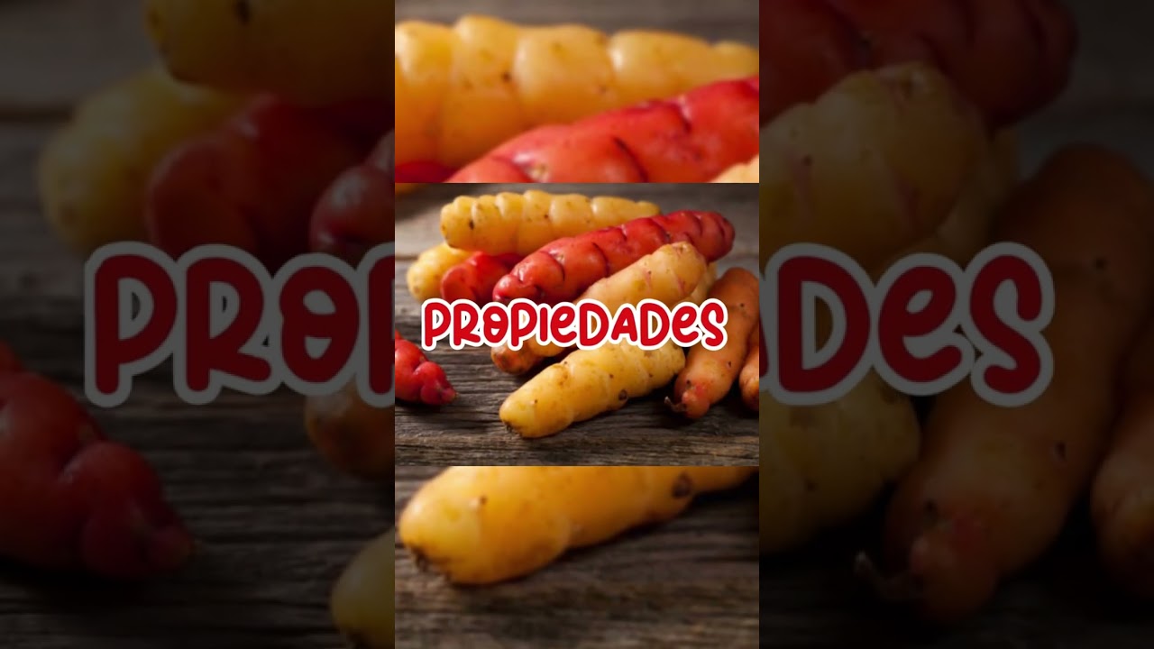 Qué significa oca