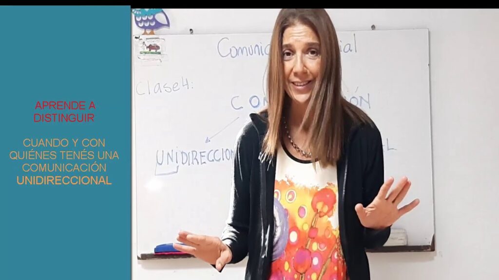 Qué significa bidireccional