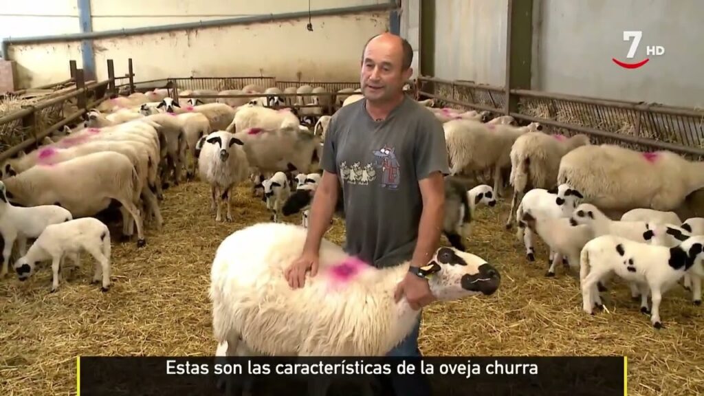 Qué significa churra