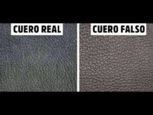 Qué significa cuero en Latinoamérica