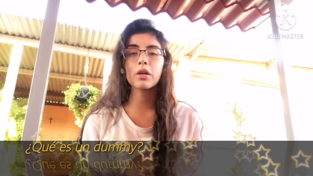 Qué significa dummy