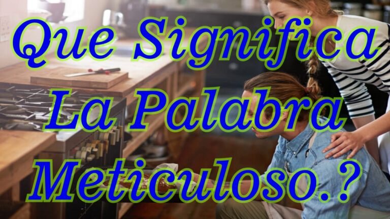 Qué significa meticuloso