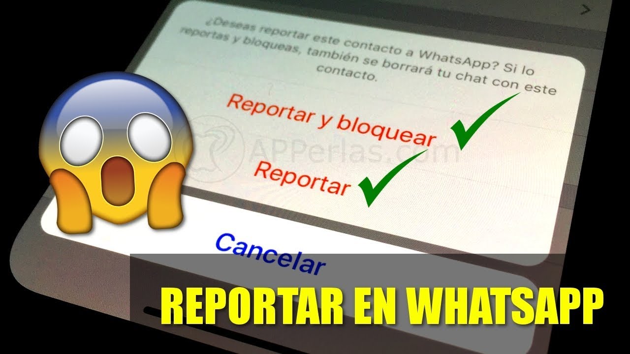 Qué significa reportar
