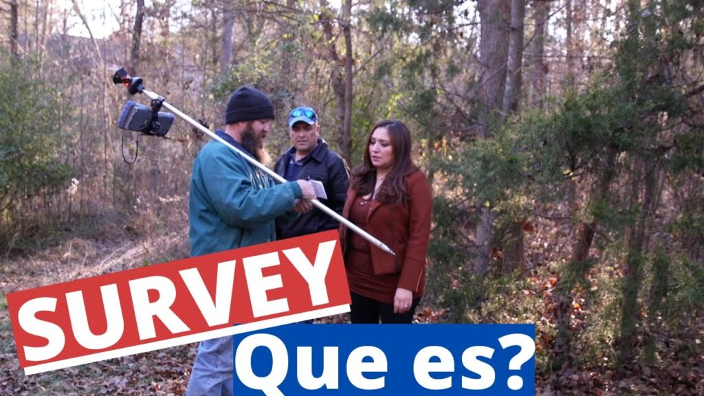 Qué significa survey