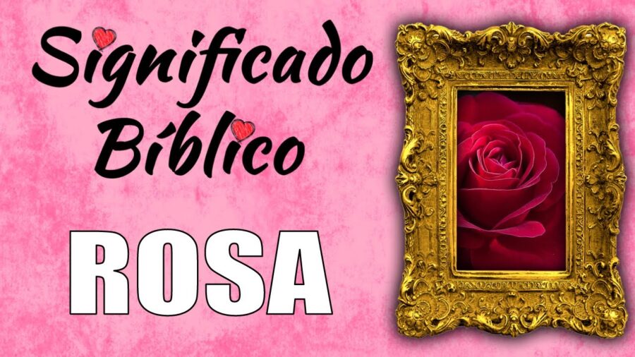 Qué Significa Rosa