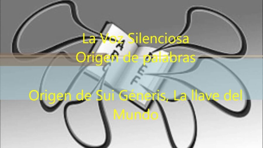 Qué Significa Sui Generis