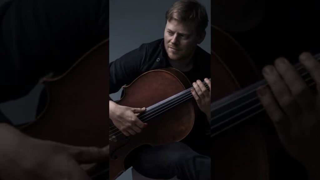 Qué significa chelo