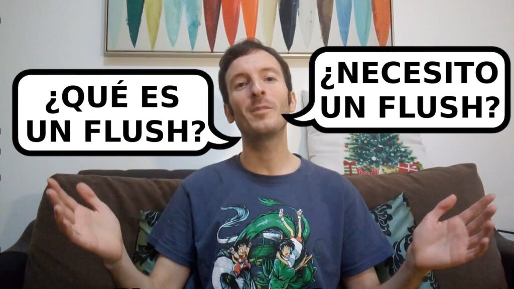 Qué significa flush