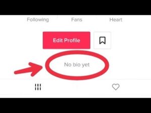 Qué significa "no bio yet