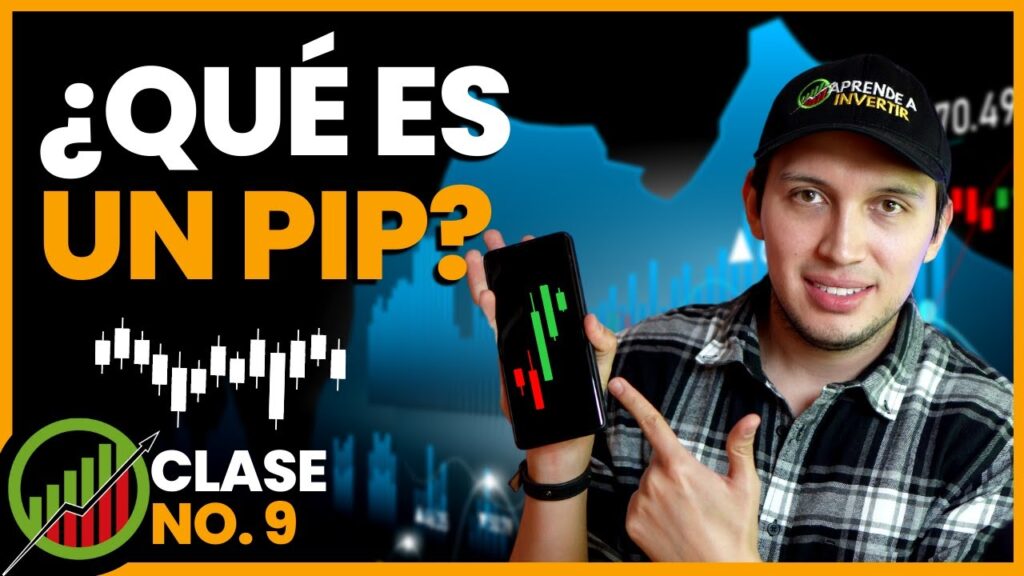 Qué significa pip