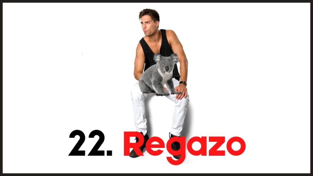 Qué significa regazo